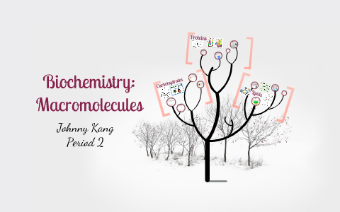 Macromolecule poster by Johnny Kang on Prezi