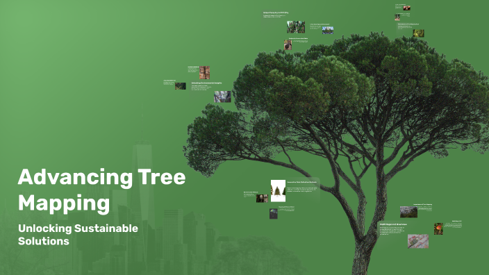 Advancing Tree Mapping by Matthew Korody on Prezi