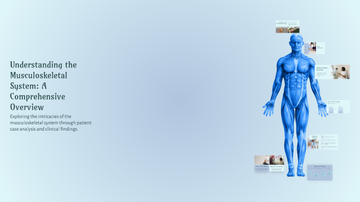 Understanding the Musculoskeletal System: A Comprehensive Overview by ...