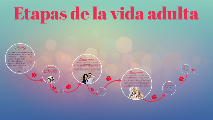 Etapas de la vida adulta by Mayra Maldonado on Prezi