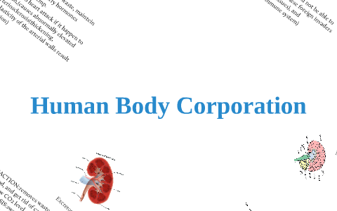 Human Body Corporation by Francis Nguyen on Prezi