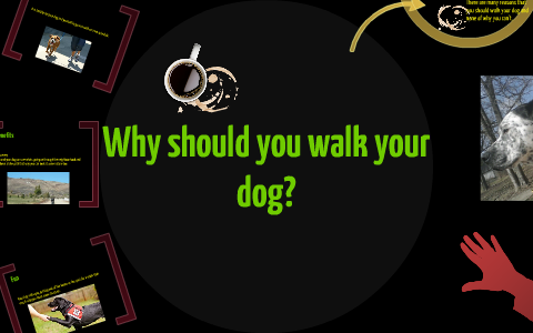 Dog Walking by Dylan Babb on Prezi