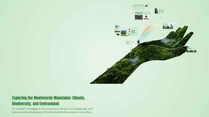 Exploring the Monteverde Mountains: Climate, Biodiversity, and ...