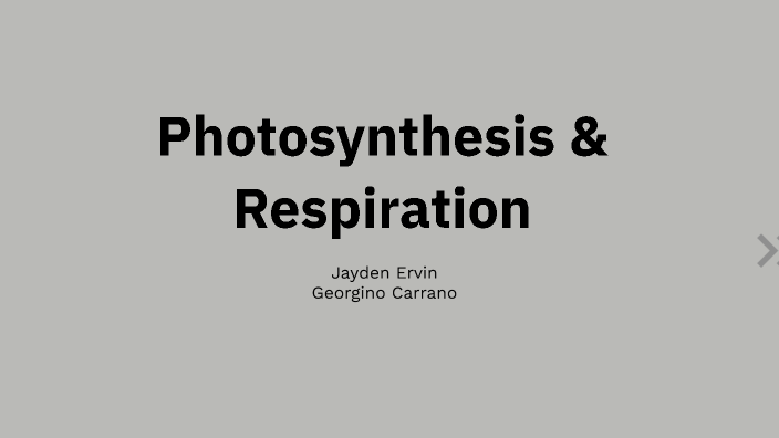 Photosynthesis & Respiration by Gino Carrano on Prezi