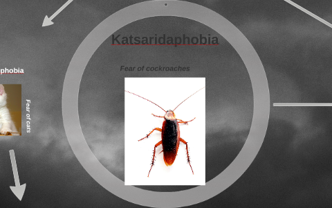 Katsaridaphobia by Loretta Bridegam on Prezi