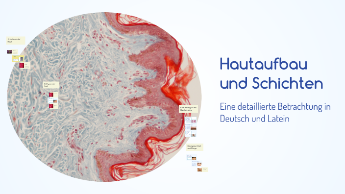 Hautaufbau und Schichten by Bashar Alali on Prezi