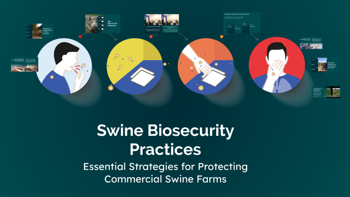 Swine Biosecurity Practices by Gemuel Payte on Prezi