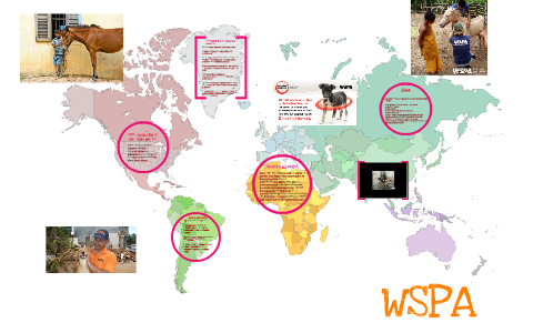 WSPA by Nadja Pedersen on Prezi