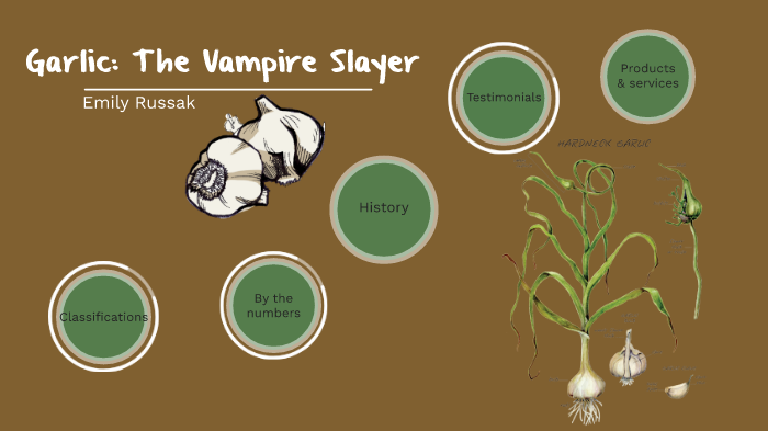 Garlic: The Vampire Slayer by Emily Russak on Prezi
