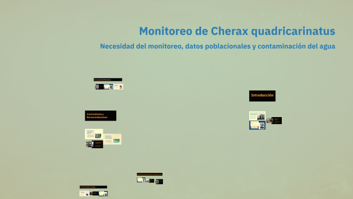 Monitoreo de Cherax quadricarinatus by Karen Piñon Acosta on Prezi