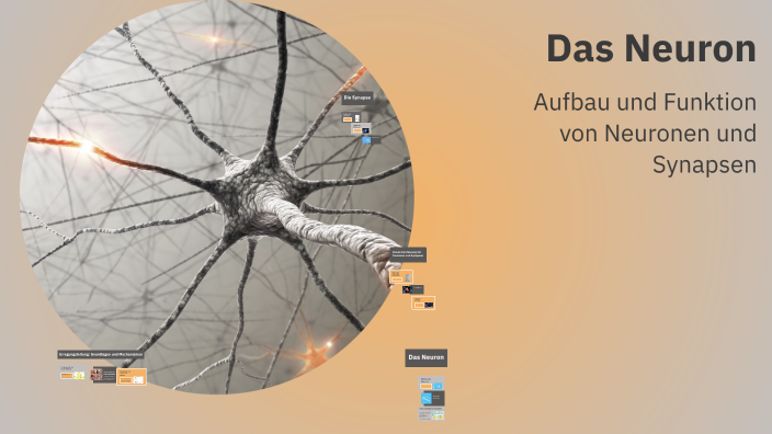 Das Neuron by Julian Augusteyns on Prezi
