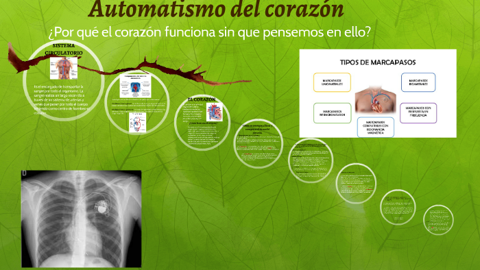 Automatismo del corazón by Heidy Sanchez Ortiz on Prezi