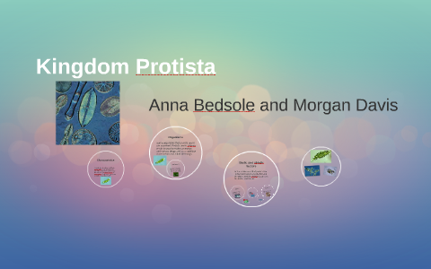Kingdom Protista by Anna Bedsole on Prezi