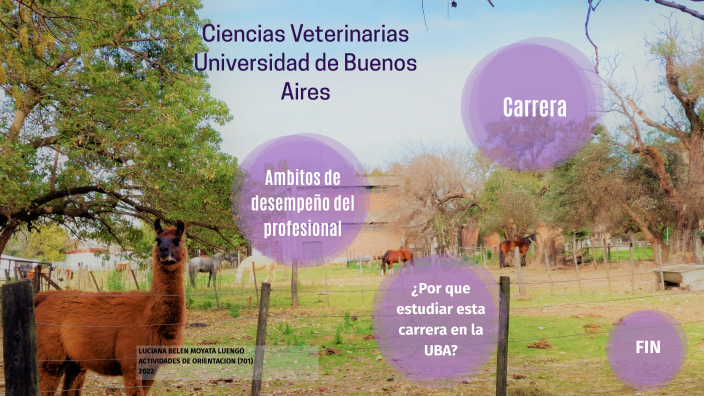 Ciencias Veterinarias UBA by Moyata Luengo Luciana Belen on Prezi