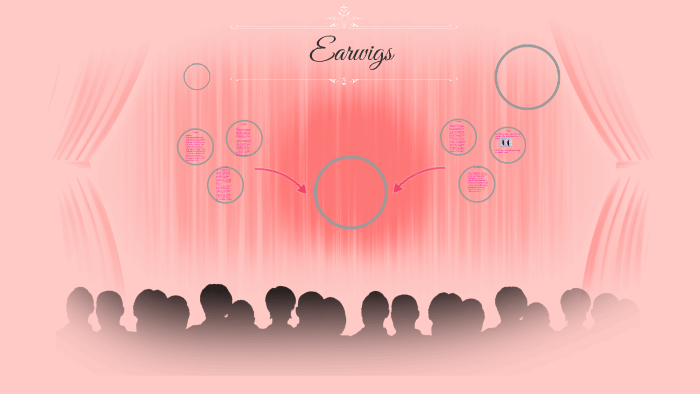 Earwigs by tiara ramirez nunez