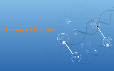 Discovery of DNA Timeline by robinson le