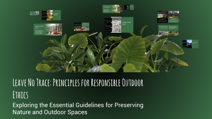 Leave No Trace: Principles for Responsible Outdoor Ethics by Anuar ...