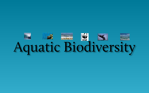 Aquatic Biodiversity by Maddie Rudd on Prezi