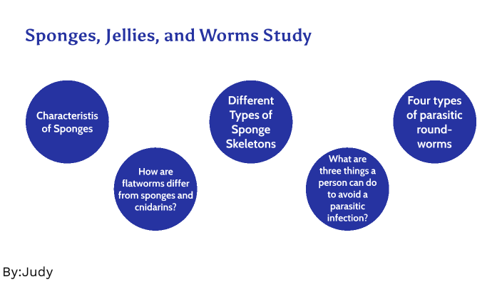 Sponges, Jellies, and Worms Study by Judy Cruz on Prezi