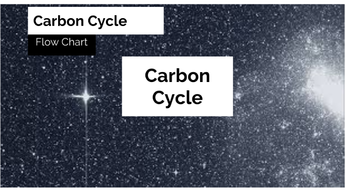 Carbon Flow Chart by Gabriel Tower on Prezi