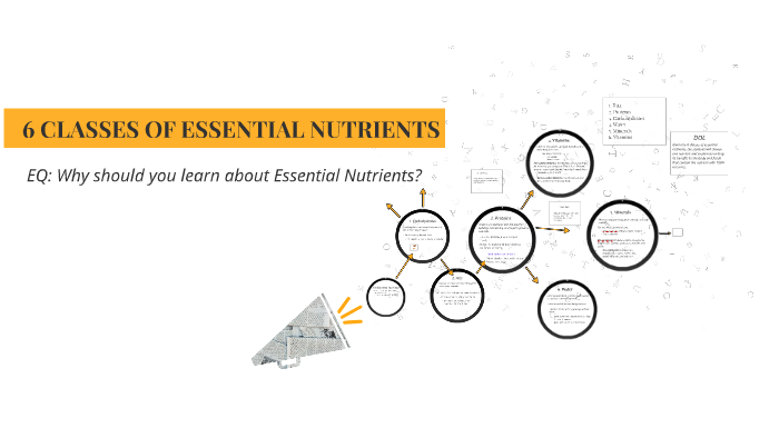 6 CLASSES OF ESSENTIAL NUTRIENTS by Trenda Foster on Prezi