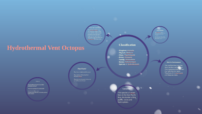 Vulcanoctopus by Amber Boncenor on Prezi