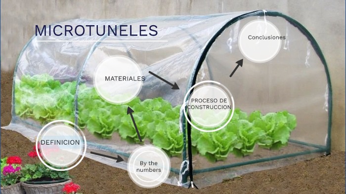 microtuneles by Domenica Culqui on Prezi