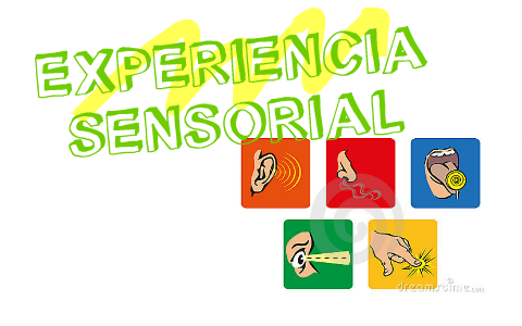 EXPERIENCIA SENSORIAL by mariel lm on Prezi