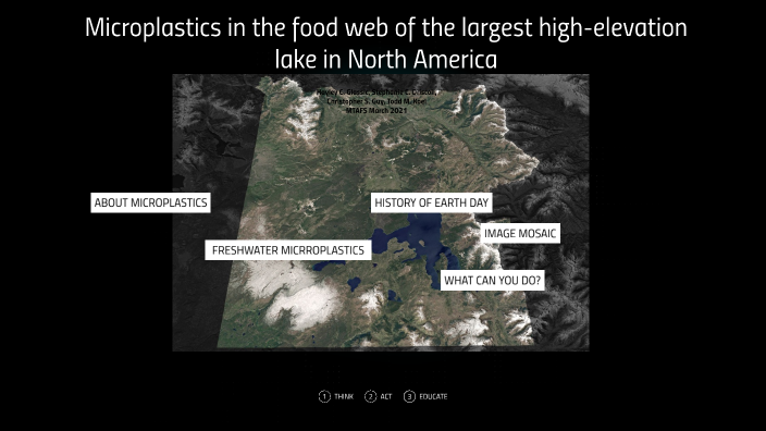 Microplastics by HAYLEY GLASSIC on Prezi