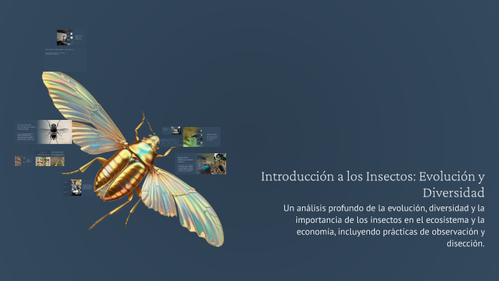Introducción a los Insectos: Evolución y Diversidad by Profe Miguel on ...