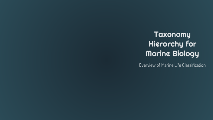 Taxonomy Hierarchy for Marine Biology by Pamela Rodgers on Prezi