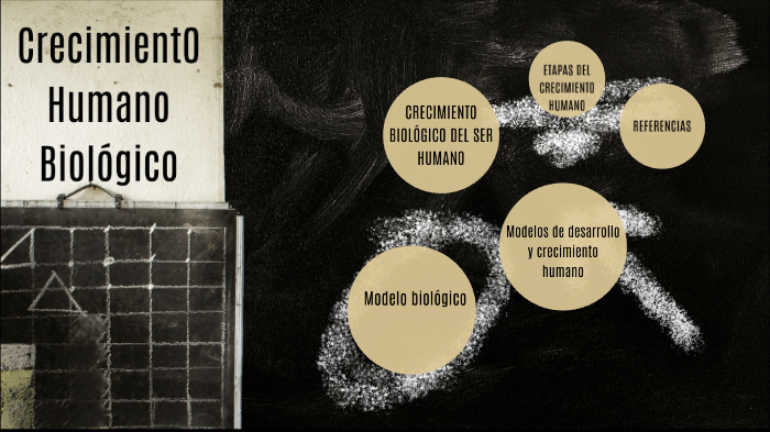 Crecimiento Humano (Biológico) by Ivan Perez Garcia on Prezi