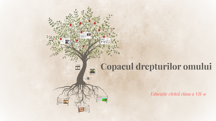 Copacul drepturilor omului by Ana-Maria Anghelescu on Prezi