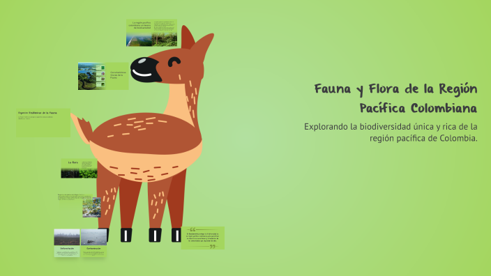 Fauna y Flora de la Región Pacífica Colombiana by leidy Grajales on Prezi