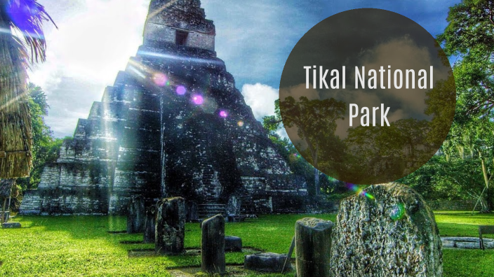 Tikal National Park by Pierfrancesco Ferrari on Prezi
