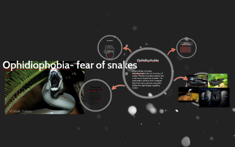 Ophidiophobia- fear of snakes by Joseph Summerour on Prezi