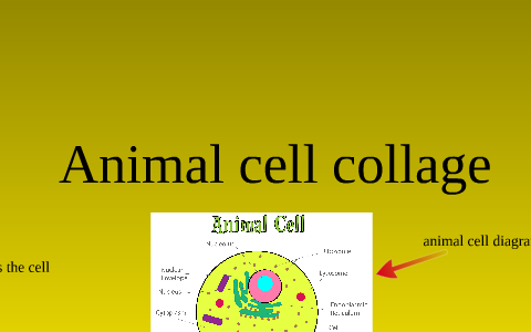 animal cell colllage by codie lebeda on Prezi