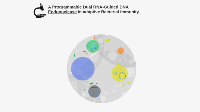 A Programmable Dual RNA-Guided DNA Endonuclease in adaptive by Edward ...