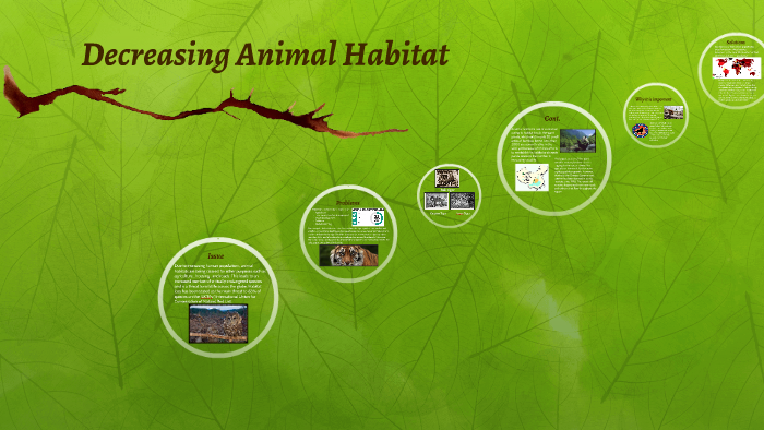 Decreasing Animal Habitat by marc maldonado on Prezi