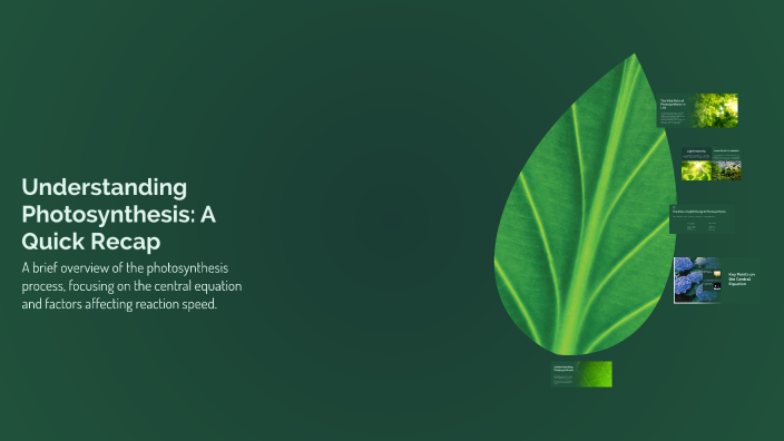 Understanding Photosynthesis: A Quick Recap by Samuel Aluko on Prezi
