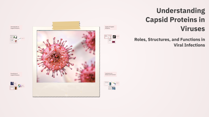 Understanding Capsid Proteins in Viruses by Mohammed Bane on Prezi