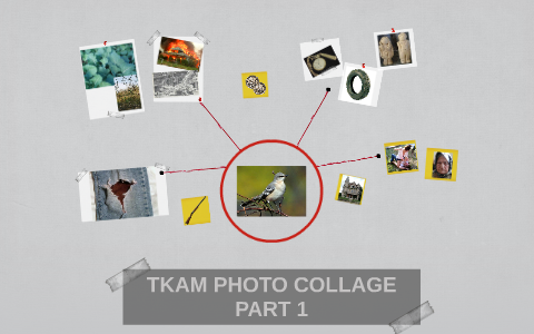 TKAM PHOTO COLLAGE by Audri Stenger on Prezi