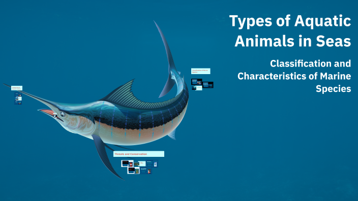 Types of Aquatic Animals in Seas by Pardis Vahabi on Prezi