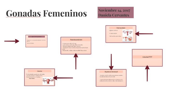 Gonadas Femeninos by Daniela Cervantes on Prezi