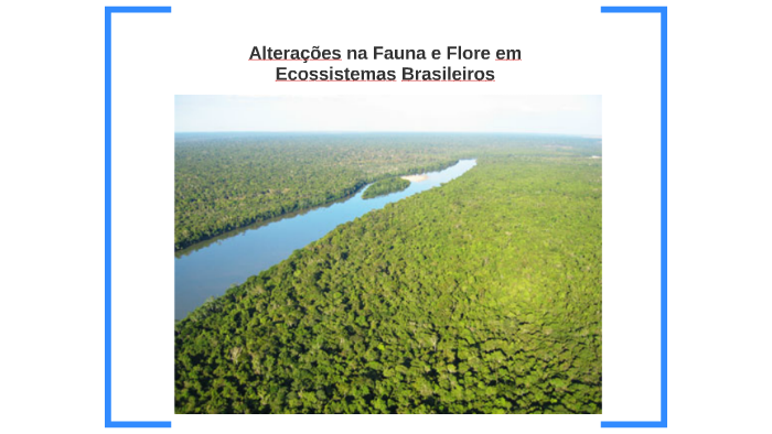 Introdução by Gabriel Ocker on Prezi