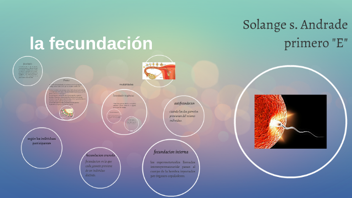 la fecundación by Stephaniia Andrade on Prezi