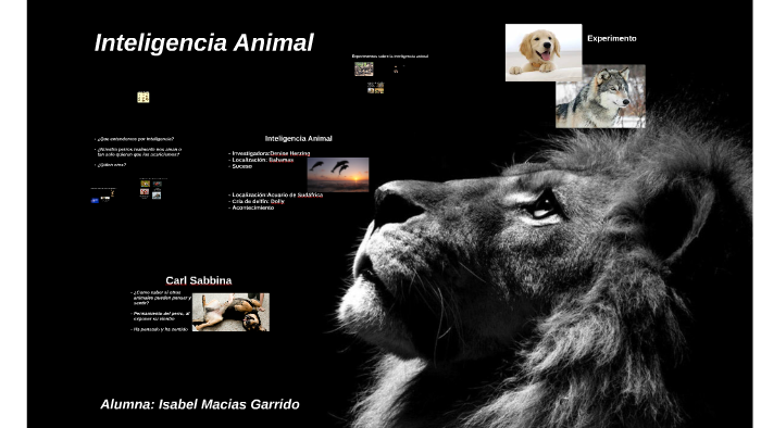 Inteligencia Animal by on Prezi