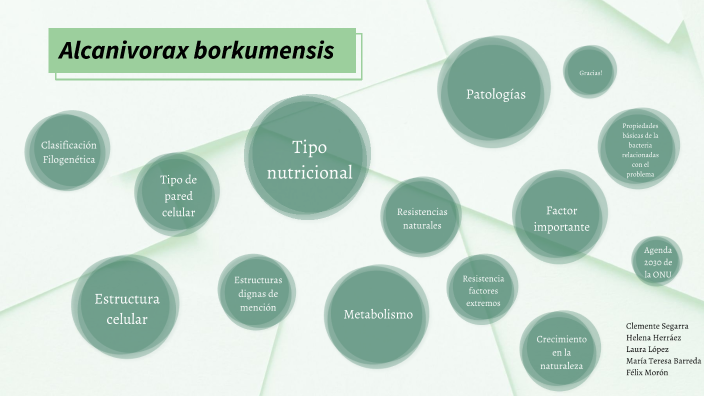 Alcanivorax borkumensis by Felix Moron Uceda on Prezi
