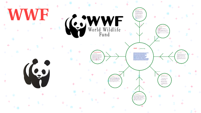 WWF Gabriele Magi, Nicholas Marcon e Jeremiah Rosa by gabriele magi on ...