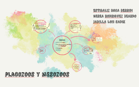 placozoos y mesozoos by jadilla loh on Prezi